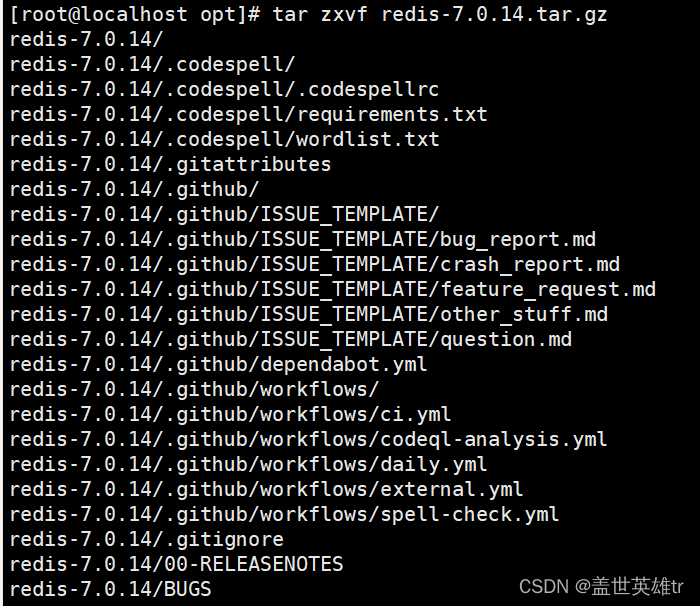 Redis安装保姆级教程：从VMware、CentOs、XShell到Redis的全过程下载和安装_xshell下载redis-CSDN博客