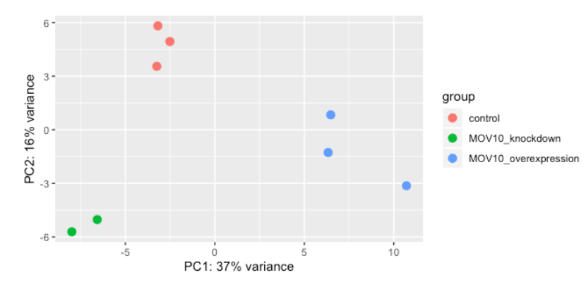 RNA-seq 详细教程：样本质控（6）_rnaseq pca-CSDN博客