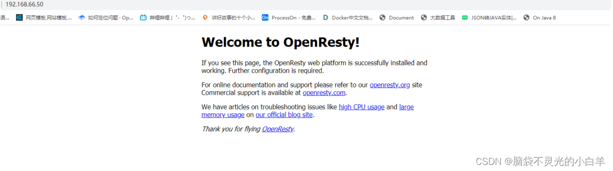 高性能web平台【OpenResty入门与实战】-CSDN博客
