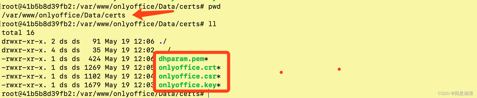 Docker安装OnlyOffice并配置自签证书和自己的域名证书_onlyoffice安装配置-CSDN博客