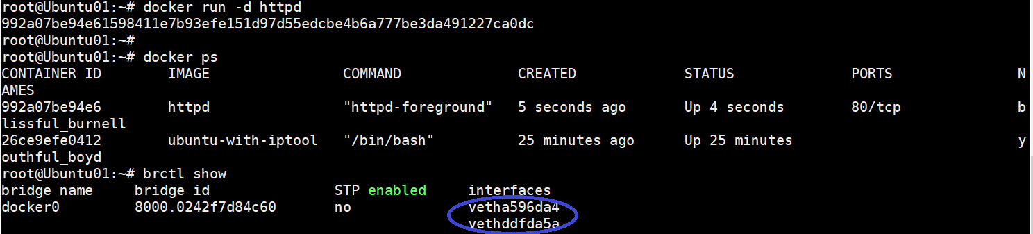 容器虚拟网卡与网桥docker0虚拟网卡的veth pair的配对-CSDN博客
