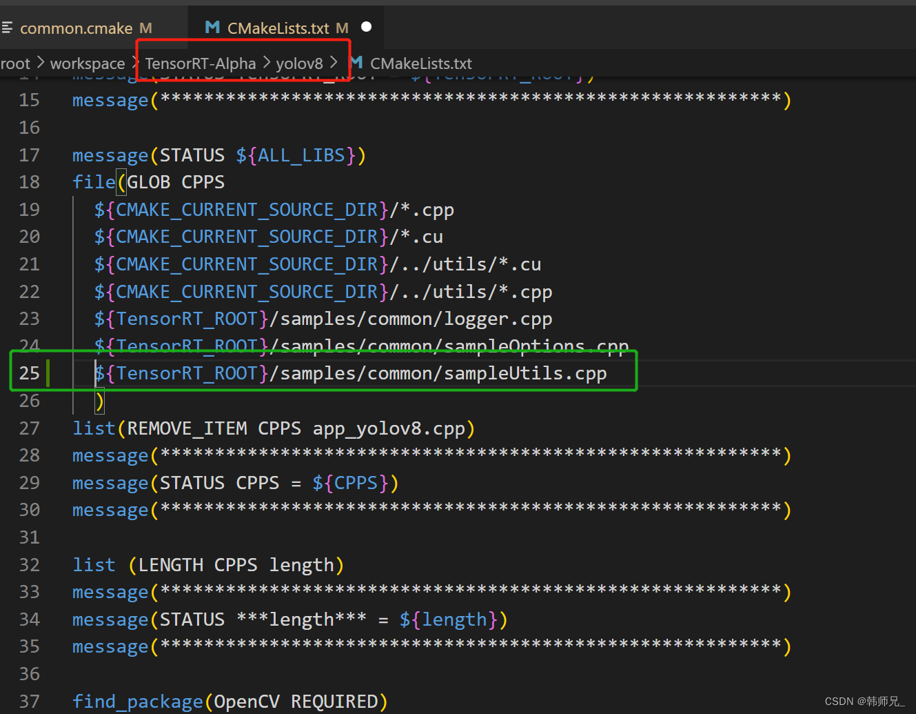 TensorRT-Alpha FAQ_splittostringvec-CSDN博客