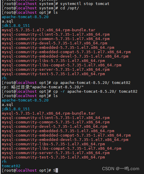 linux(nginx安装配置，tomcat服务命令操作)_apache、nginx和tomcat部署网站的命令-CSDN博客