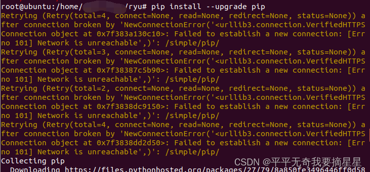 Ubuntu18.04安装RYU_ubuntu1804 ryu 安装-CSDN博客