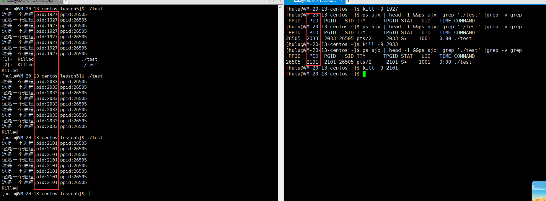 [ Linux ] 进程概念，pcb，查看进程，pid，ppid，fork-CSDN博客