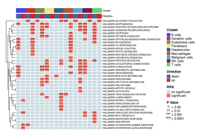 单细胞irGSEA分析:整合多种富集分析方式的R包-CSDN博客