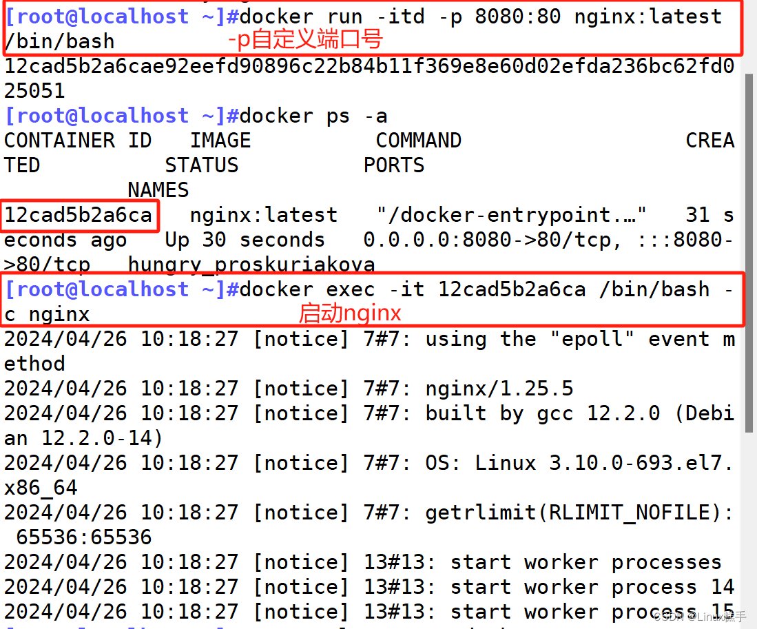 Docker网络模式_docker host-CSDN博客