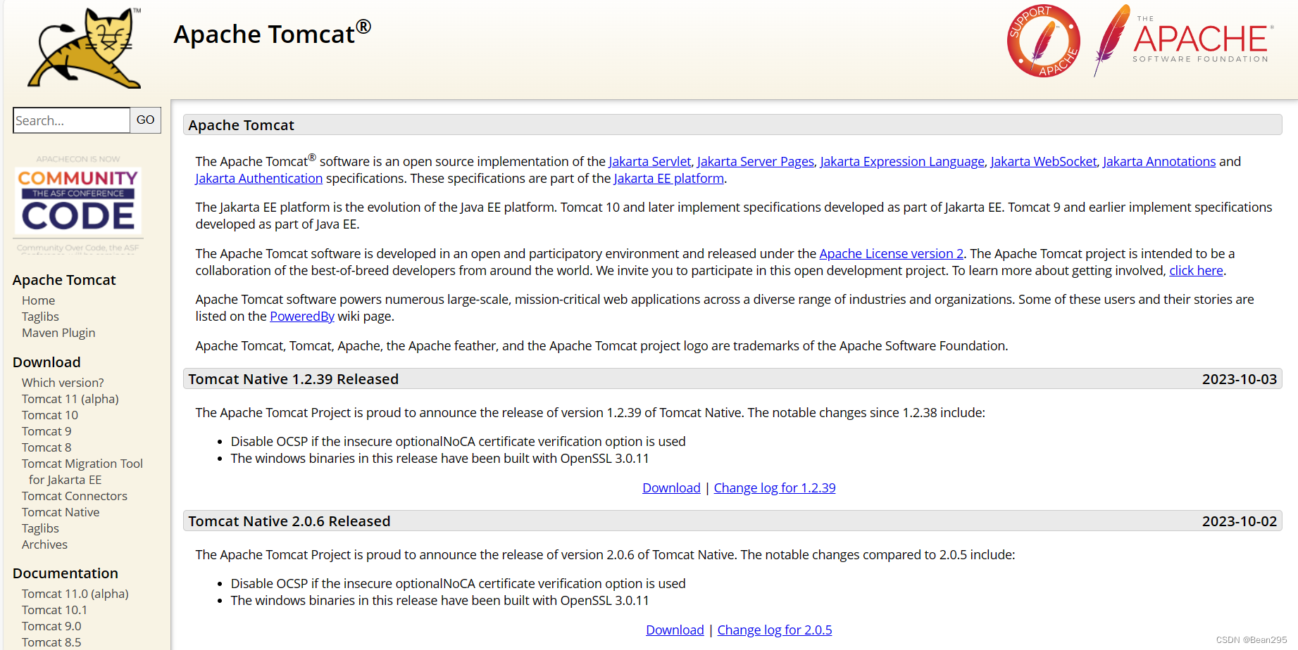 Tomcat 介绍与 jspgou 部署-CSDN博客