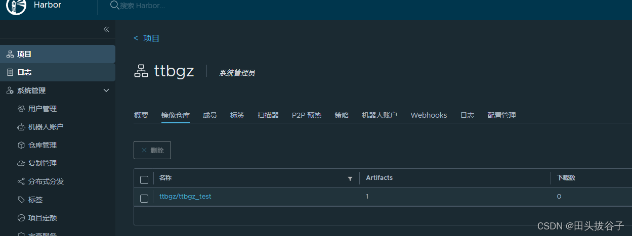 05 docker-gitlab-runner 持续集成CI_enter optional maintenance note for the runner-CSDN博客