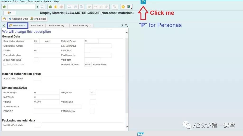 SAP Personas详解-CSDN博客