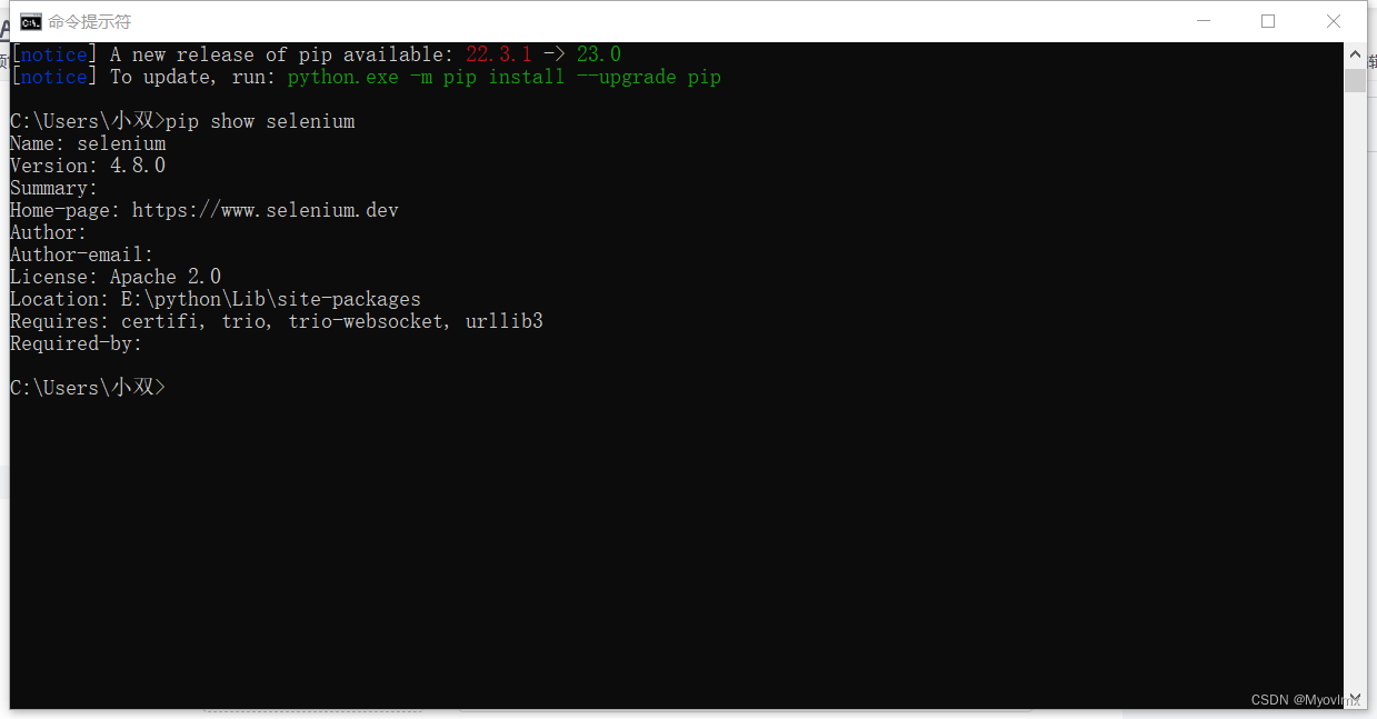 安装Selenium-CSDN博客