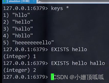 初识Redis，Redis常见命令_redis mget-CSDN博客