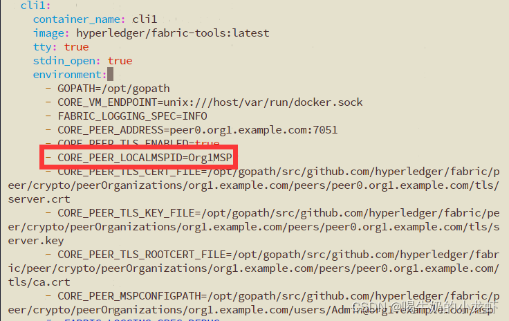 Fabric 2.0 出现的一个很坑的问题_ndorser and orderer connections initializederror ...
