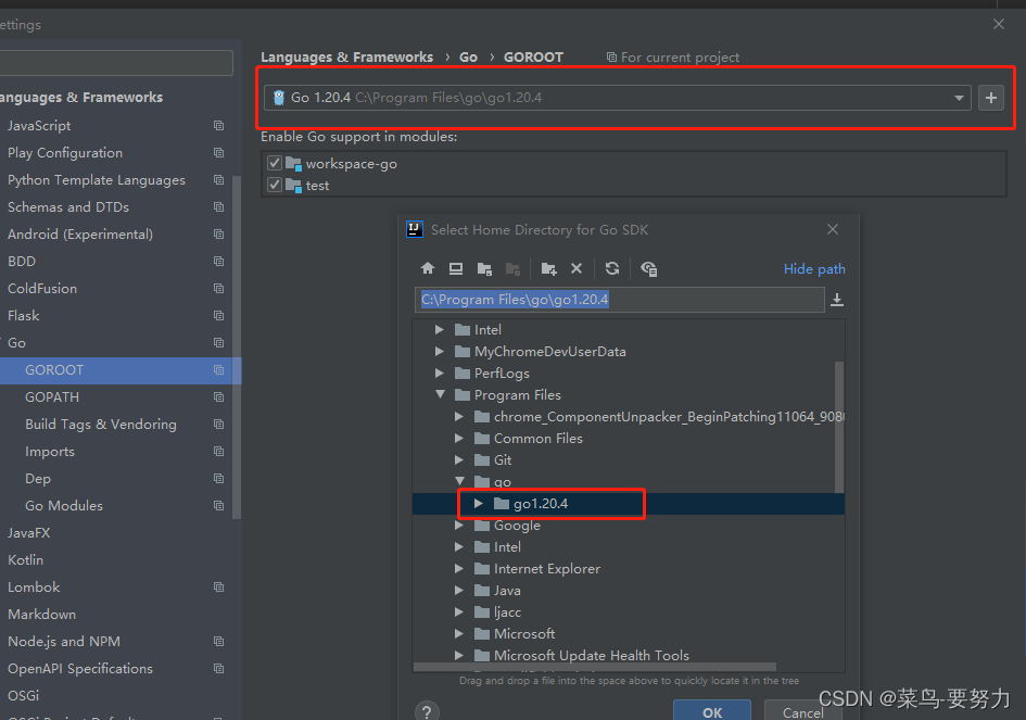解决IDEA 引入GO SDK无法加载本地Go，The selected directory is not a valid home for Go SDK_idea无法引入go的sdk-CSDN博客
