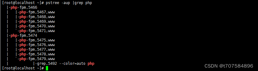 linux下查看php进程，开启php-fpm&杀死php进程_linux 启动php7-fpm-CSDN博客