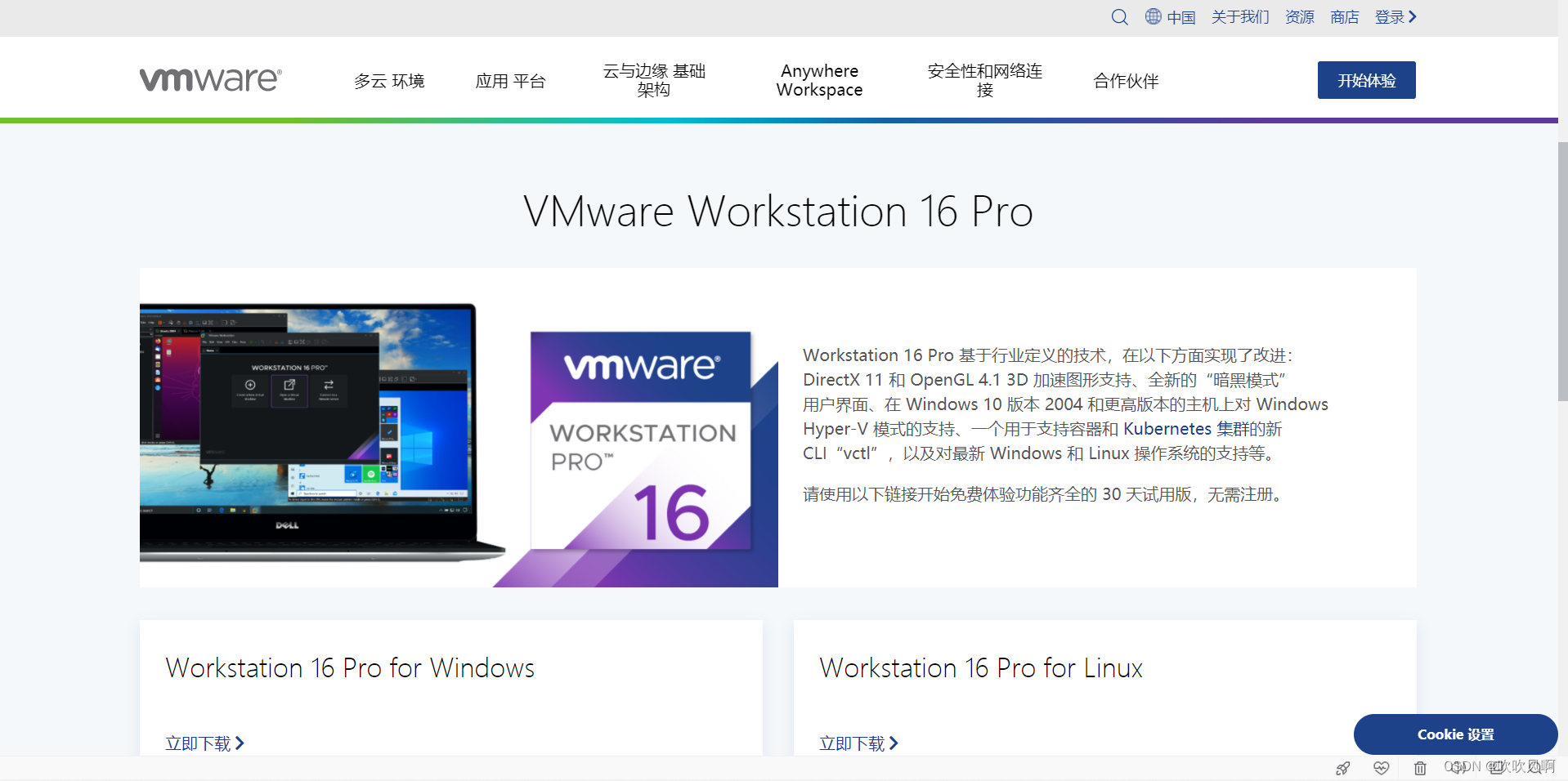 VMware Workstation Pro详细安装教程_vmware workstation pro安装教程-CSDN博客