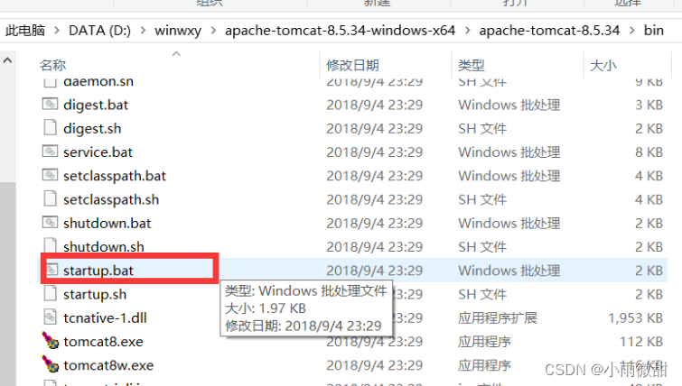 apache-tomcat-10.0.23下载配置和idea配置_tomcat 10.0.23-CSDN博客