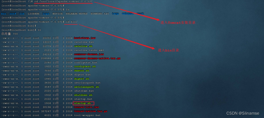 Linux02(黑马)_黑马linux shell-CSDN博客