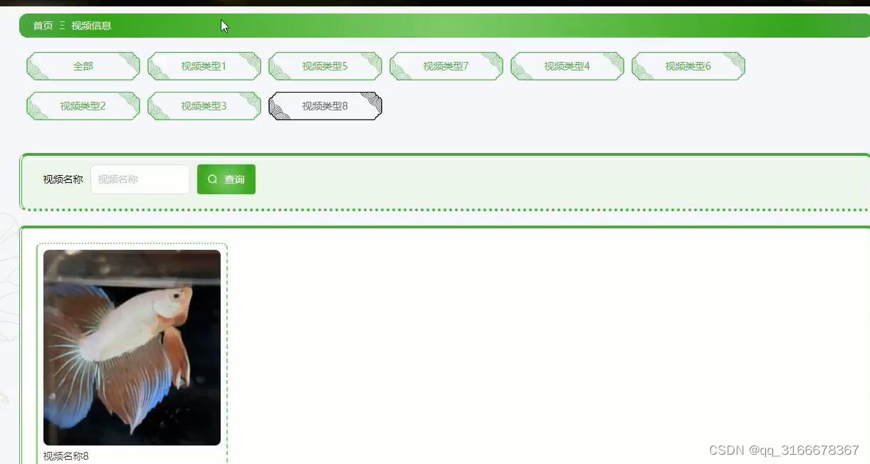 python-django基于vue的植物动物鱼类鸟类科普网站vue+flask_vue布局实现的鸟类知识库-CSDN博客