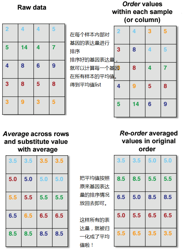 quantile normalization原理-CSDN博客