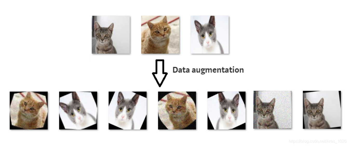 Data augmentation: 利用python进行图像扩建_python augment 图片加雪操作-CSDN博客