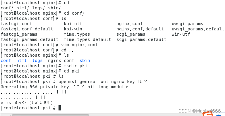 Nginx中的SSL加密配置与证书生成_nginx ssl证书生成-CSDN博客