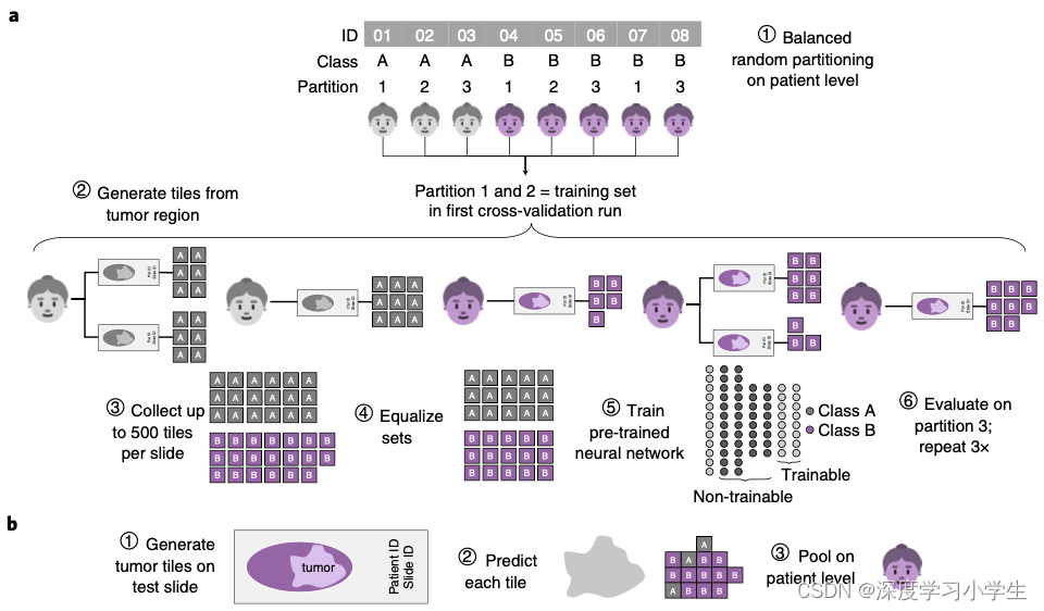 Pan-cancer image-based detection of clinically actionable genetic alternations-CSDN博客