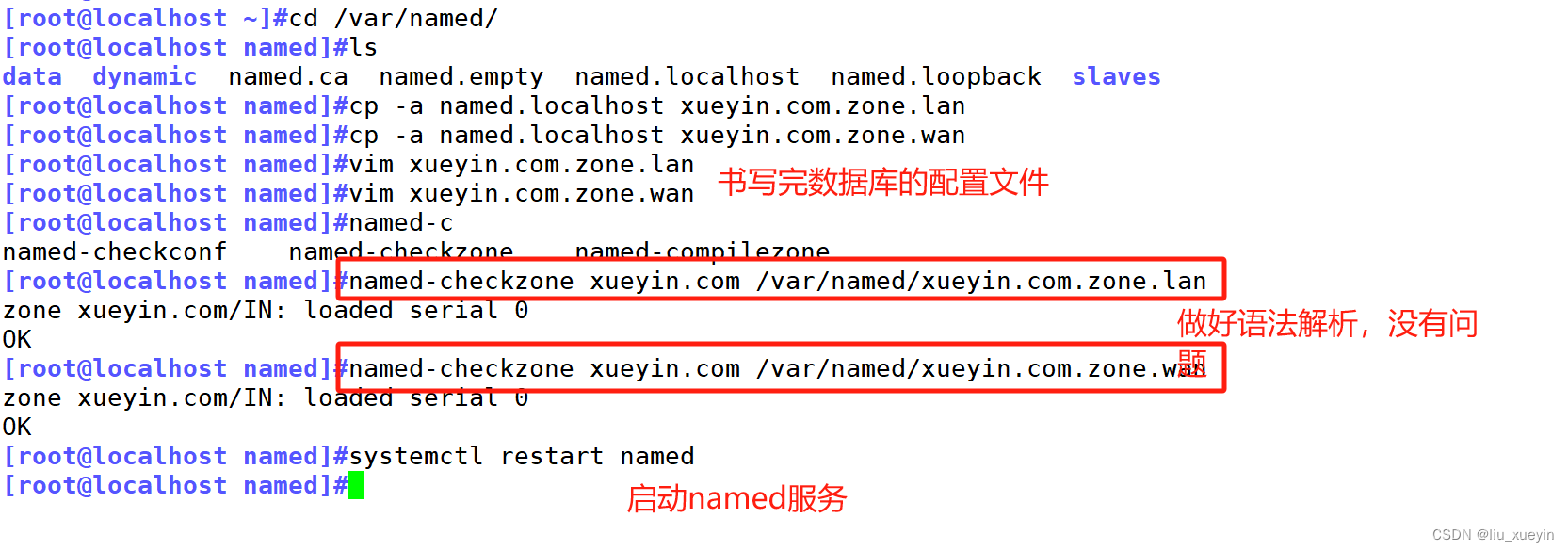 【Linux网络】搭建内外网的网关服务器，实现DNS分离解析与DHCP自动分配_linux 网关服务器-CSDN博客