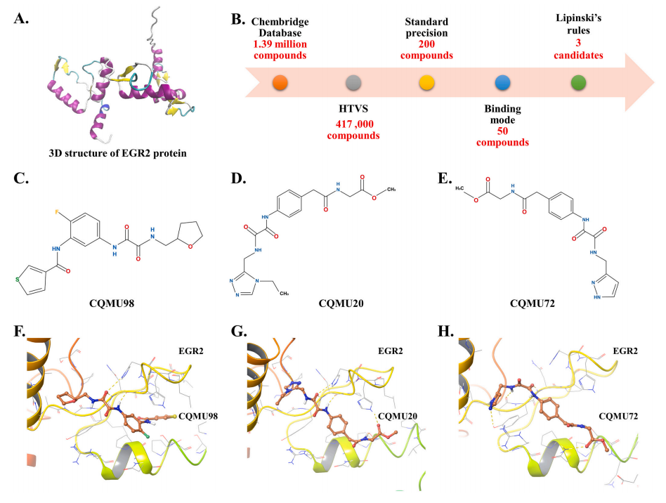 AbMole| ChemBridge高活性化合物为治疗VKH提供新可能_vkh 细胞治疗-CSDN博客