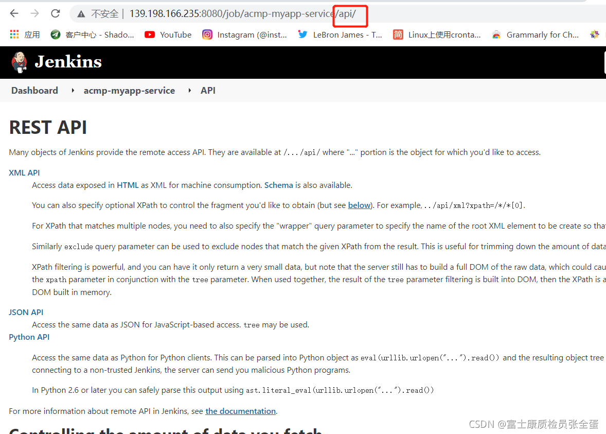 Jenkins REST API-CSDN博客