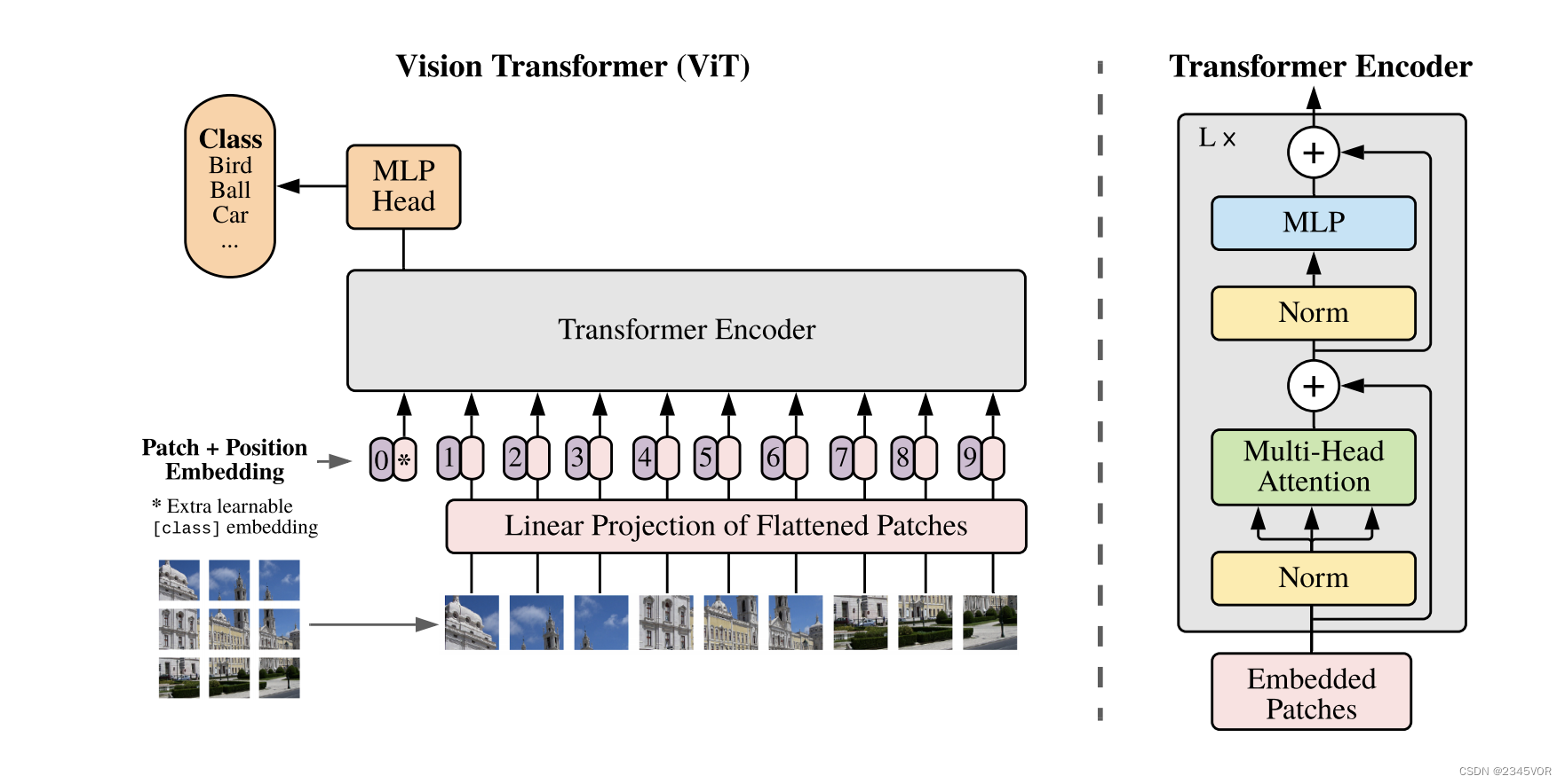 CIFAR10图像识别：改进LetNet5与ViT模型对比-CSDN博客
