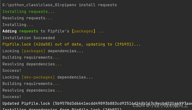 虚拟环境-----virtualenv和pipenv的安装和应用_pip virtualenv-CSDN博客