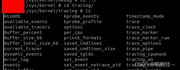 Linux动态追踪机制：perf,ftrace,kprobes与USDT详解-CSDN博客