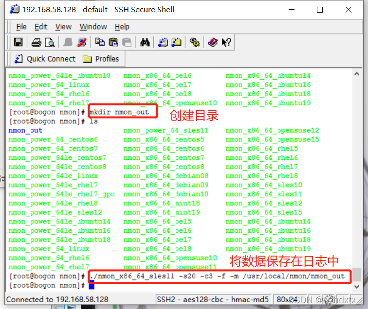 day004--nmon监控_nmon执行后生成的文件放哪了-CSDN博客