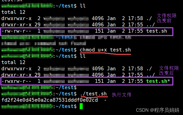 linux：如何执行.sh文件_linux执行sh文件命令-CSDN博客