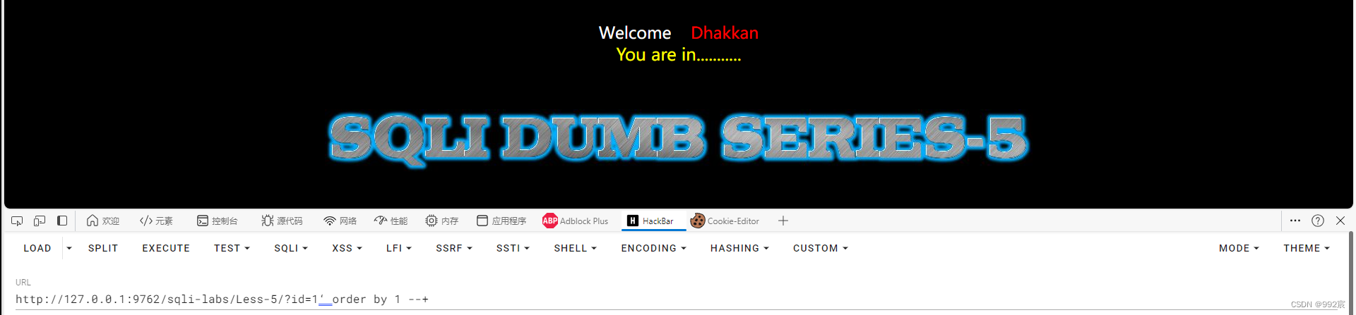 sqli-labs解题记录_please input the id as parameter with numeric valu-CSDN博客