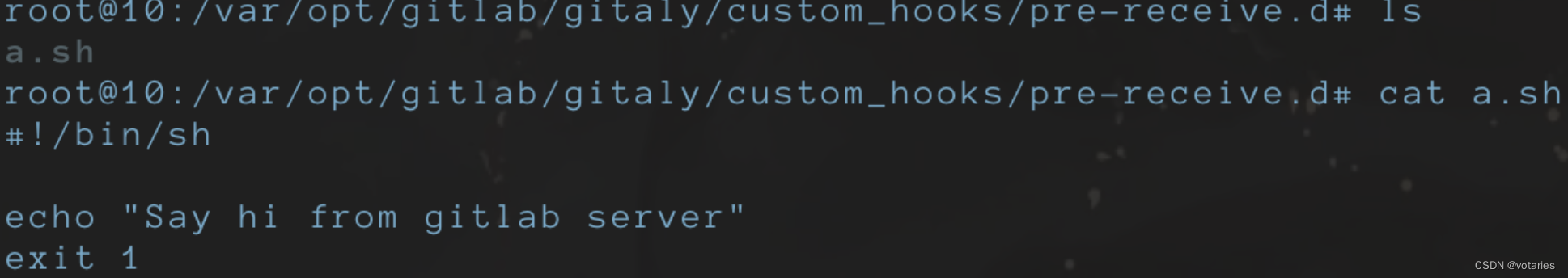 Gitlab custom_hooks 全局&单个仓库设置_gitlab custom hook-CSDN博客