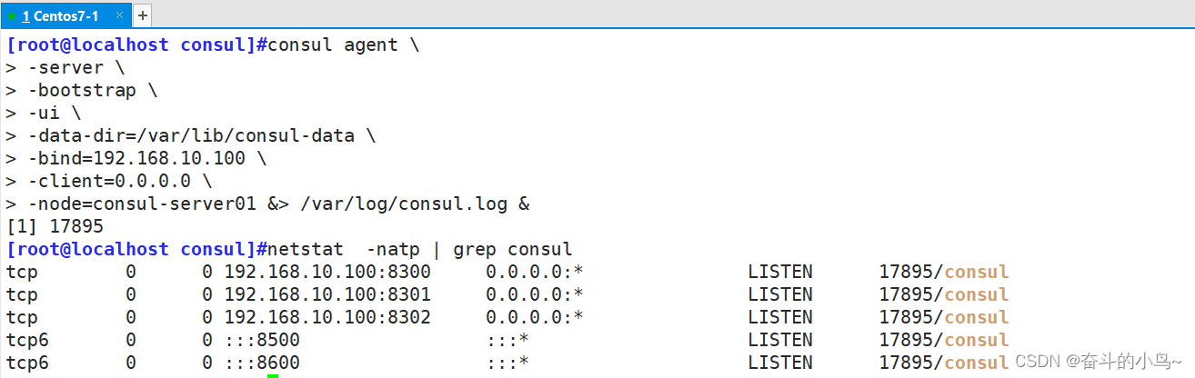 Docker容器---docker-Consul部署_consul docker-CSDN博客