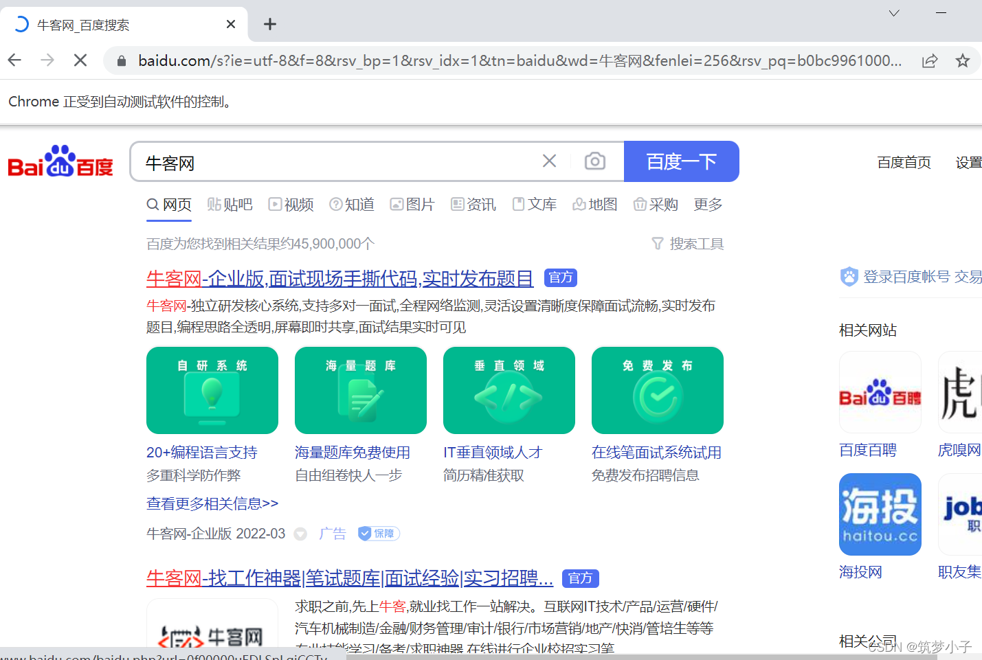 Selenium自动化测试的配置(python版)宝塔怎么使用selenium Csdn博客