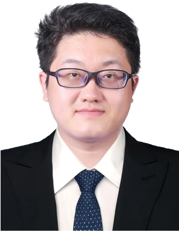 iMeta | VeloPro: 东京大学齐藤裕组揭示蛋白质翻译速率与结构特征关联模式的分析流程...-CSDN博客