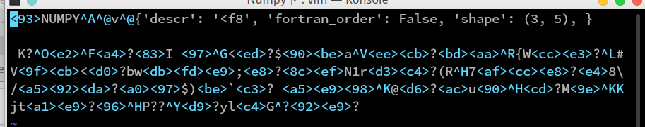 numpy下06输入与输出_numpy save load-CSDN博客