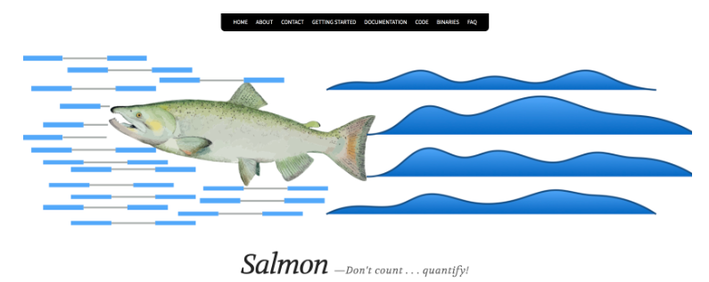 RNA-seq 详细教程：分析流程介绍（1）_rnaseq-CSDN博客