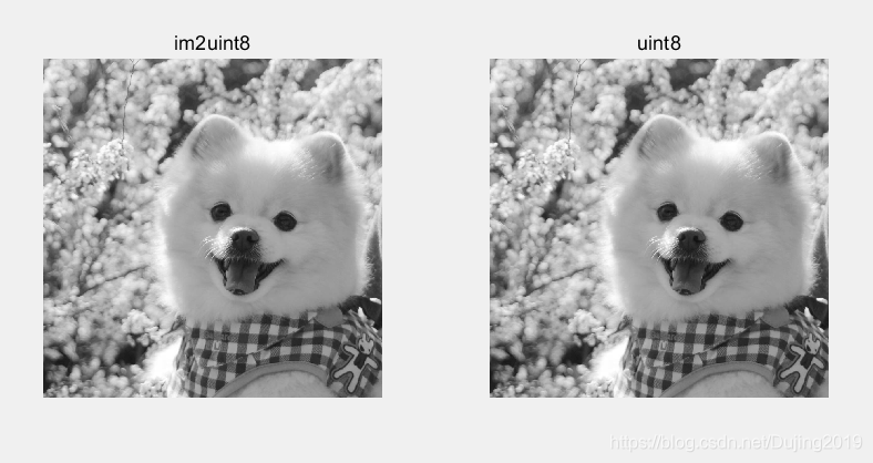 matlab图像数据类型uint8,double关系_unit8和double的区别-CSDN博客
