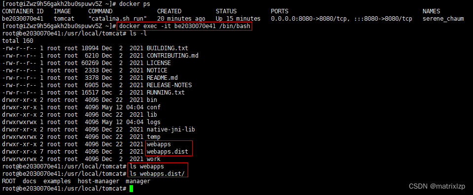 10、docker 安装 tomcat_docker安装tomcat-CSDN博客