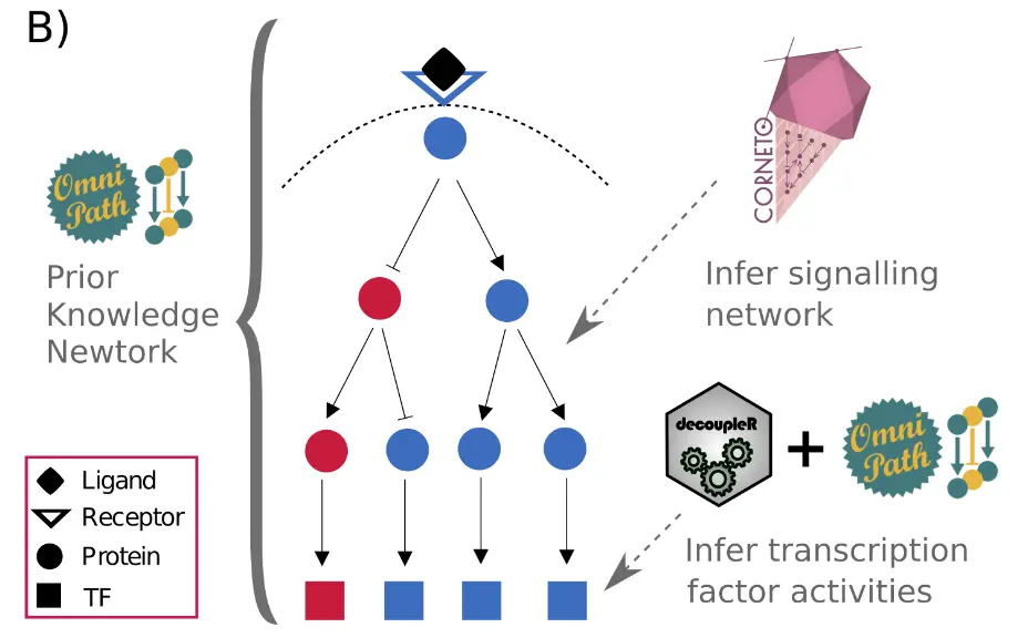 单细胞空间联合分析之SpatialScope-CSDN博客