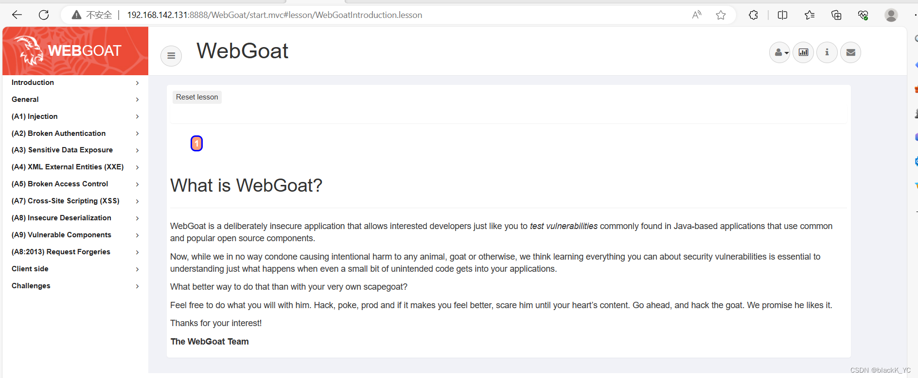 WebGoat搭建和Yakit学习_java -jar webgoat-server-8.1.0.jar --server.port=8-CSDN博客