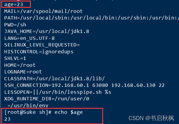 Linux中的Shell编程_cshell bshell-CSDN博客