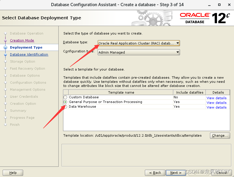 在Oracle12c rac集群中使用dbca图形化创建数据库时需要设置数据块大小，应该在目录的那一步找到定制数据库_oracle 12c dbca-CSDN博客