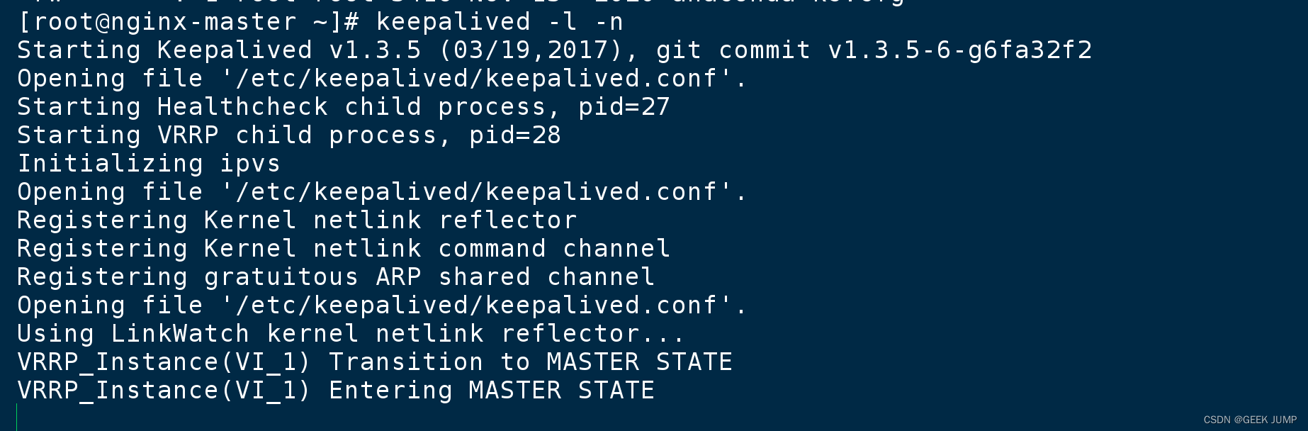 Keepalived+Nginx实现高可用(上)_nginx冗余架构-CSDN博客