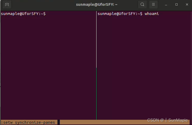 Ubuntu环境下的tmux基础功能_ubuntu tmux-CSDN博客